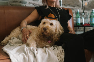 Our Mission - Beeline